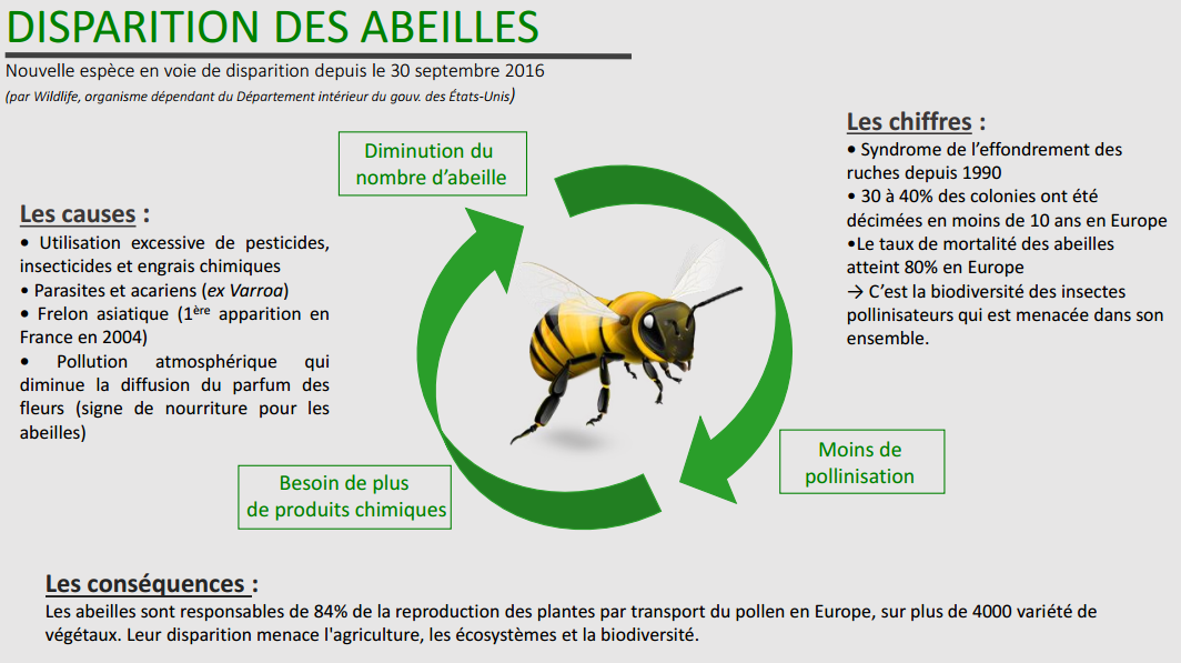 Du côté des élèves ingénieurs – eruches